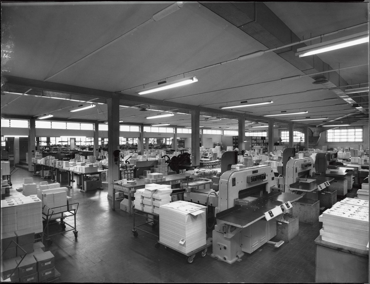 The Kartos Brand | Kartos